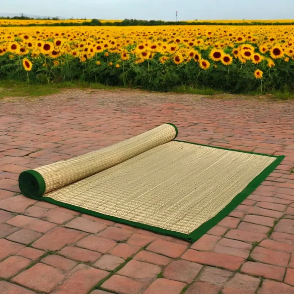 Natural River Grass Floor Mat – Green Border Eco Carpet – Bhumikart